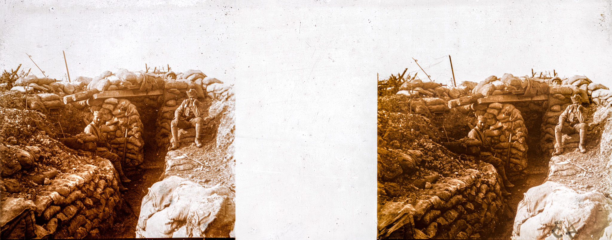 Carrier Pigeons & Archival Priority: Damaged WW1 3D Slides