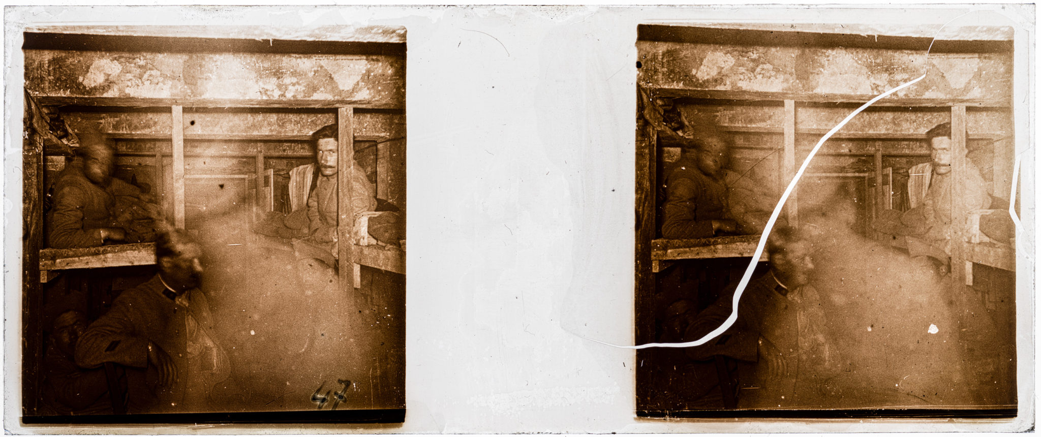 Carrier Pigeons & Archival Priority: Damaged WW1 3D Slides